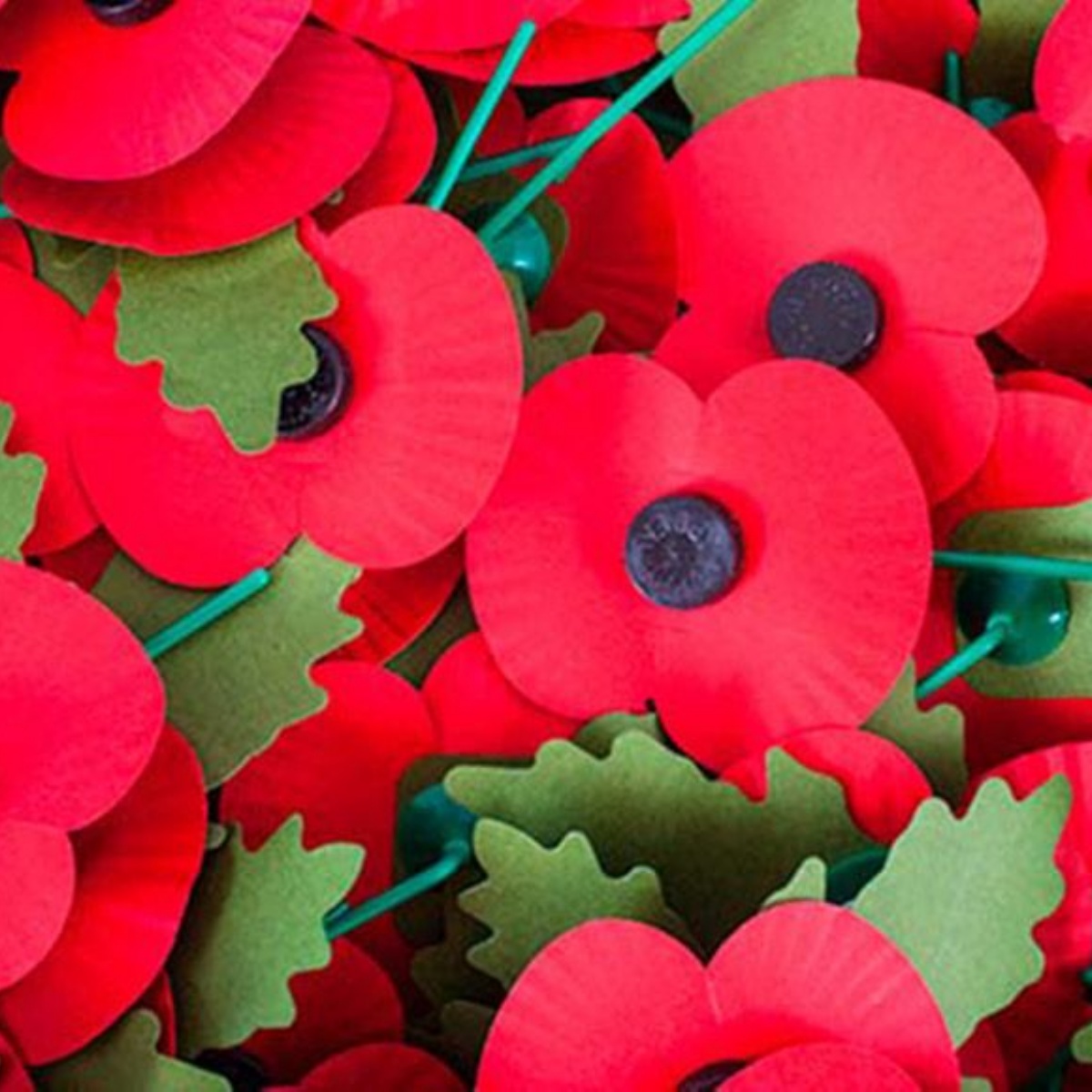 Boulevard Primary Partnership - Poppy Appeal - Items on sale now
